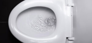 Tout savoir sur le WC à sortie verticale | Déco salle de bains